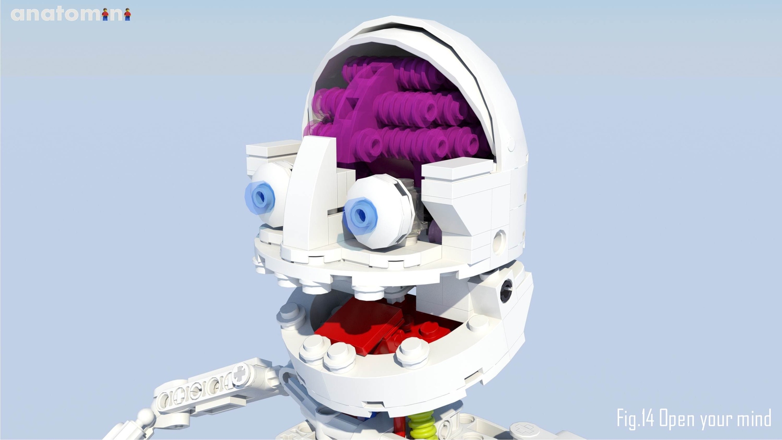 Anatomini, A Detailed 1:10 Scale Anatomical LEGO Model of a Minifig