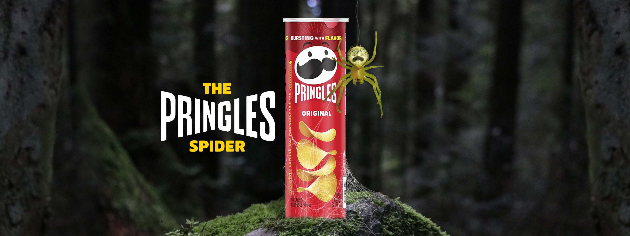 Pringles Started A Petition To Rename This Lookalike Spider
